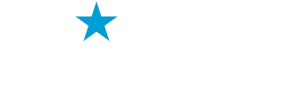 WONDER ELECTRICALS LIMITED – WONDER FIBROMATS LIMITED